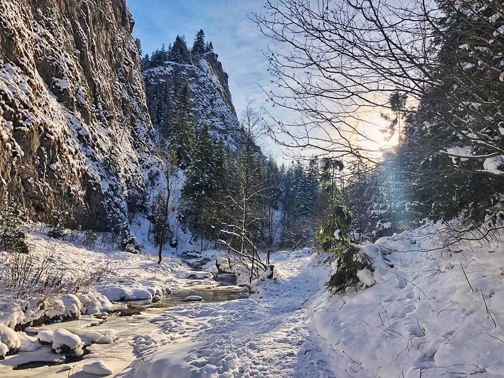 Pieniny zimą — jak się przygotować na taki wyjazd? - Schronisko Orlica